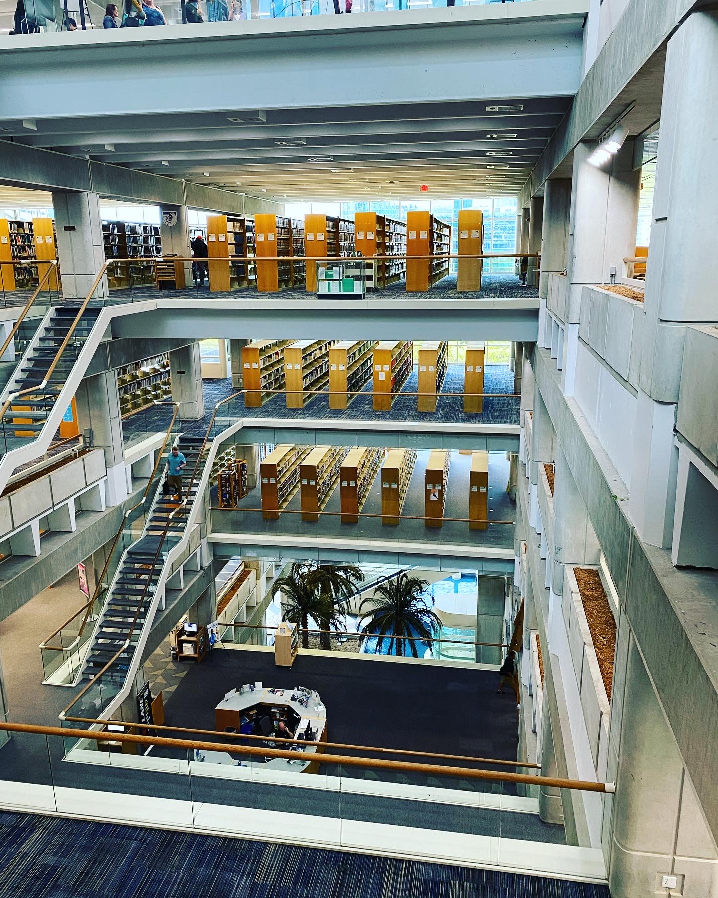 peer support for library workers – Rebecca Tolley